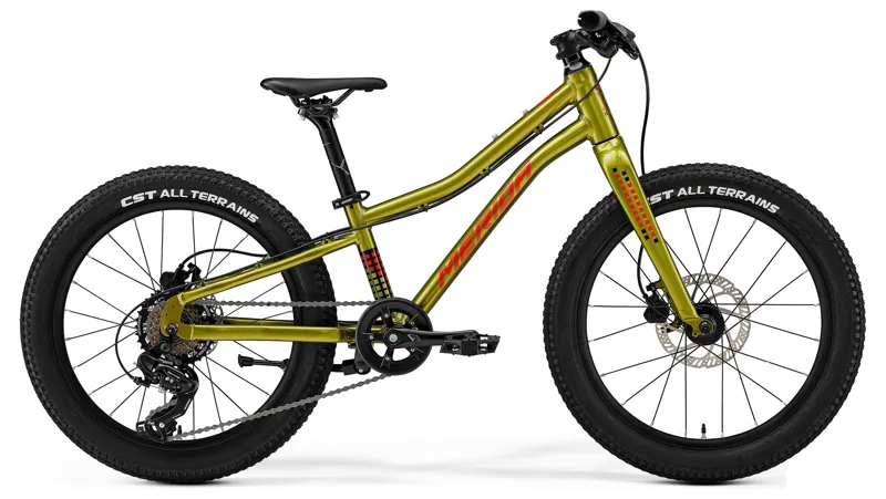 Merida Matts J.20+ Kids Junior Mountain Bike in Green