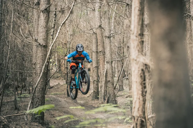 2019 Whyte 901 Hardtail Trail Mountain Bike