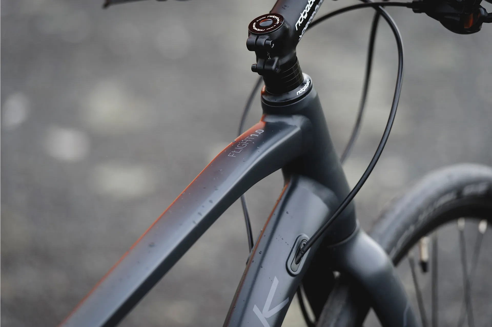 2018 Ridgeback Flight 01 Hybrid