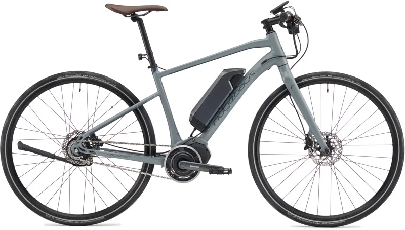 2019 Ridgeback E-Flight