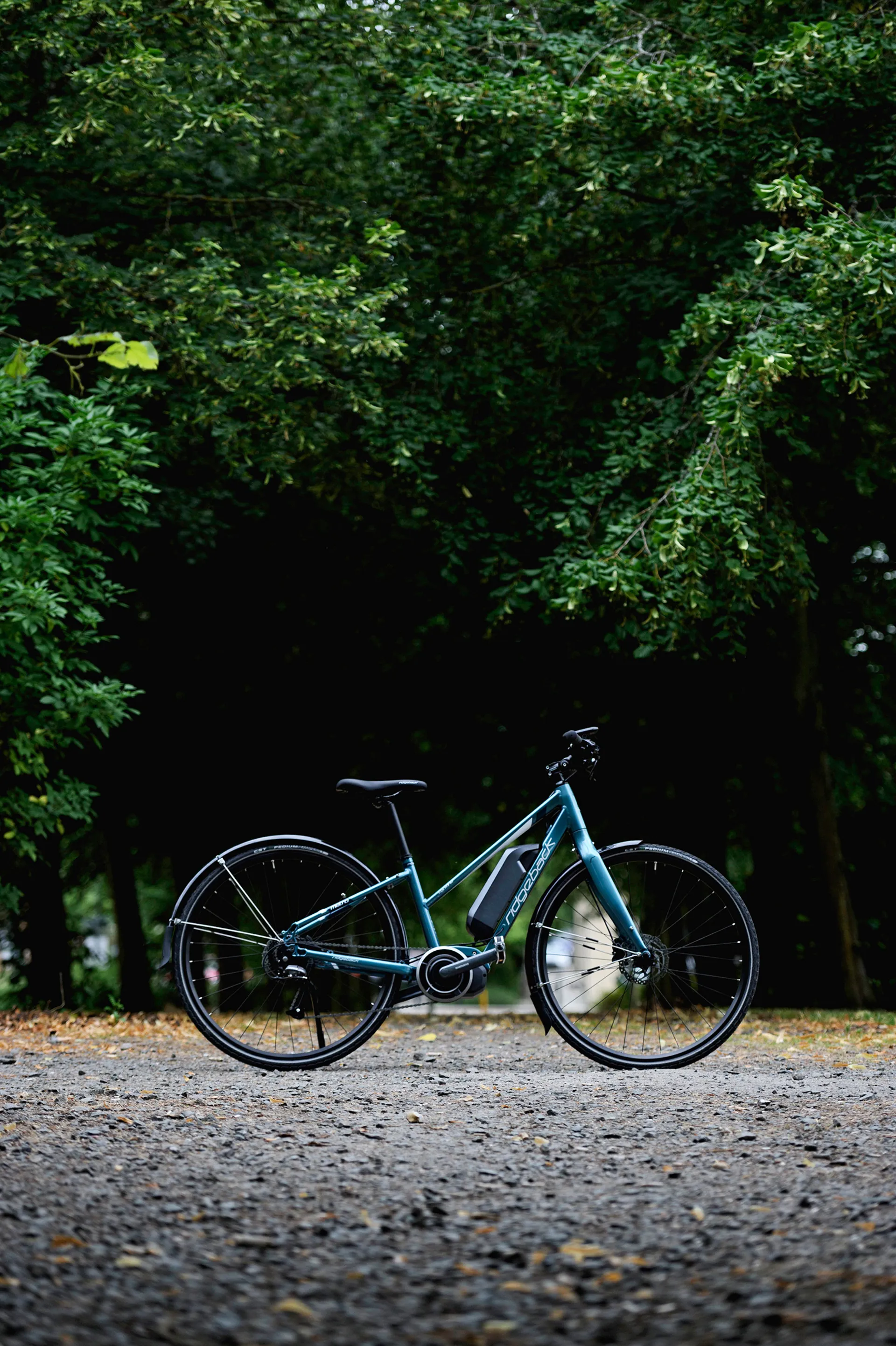 2019 Ridgeback Cyclone Womens Open Frame Electric Bike