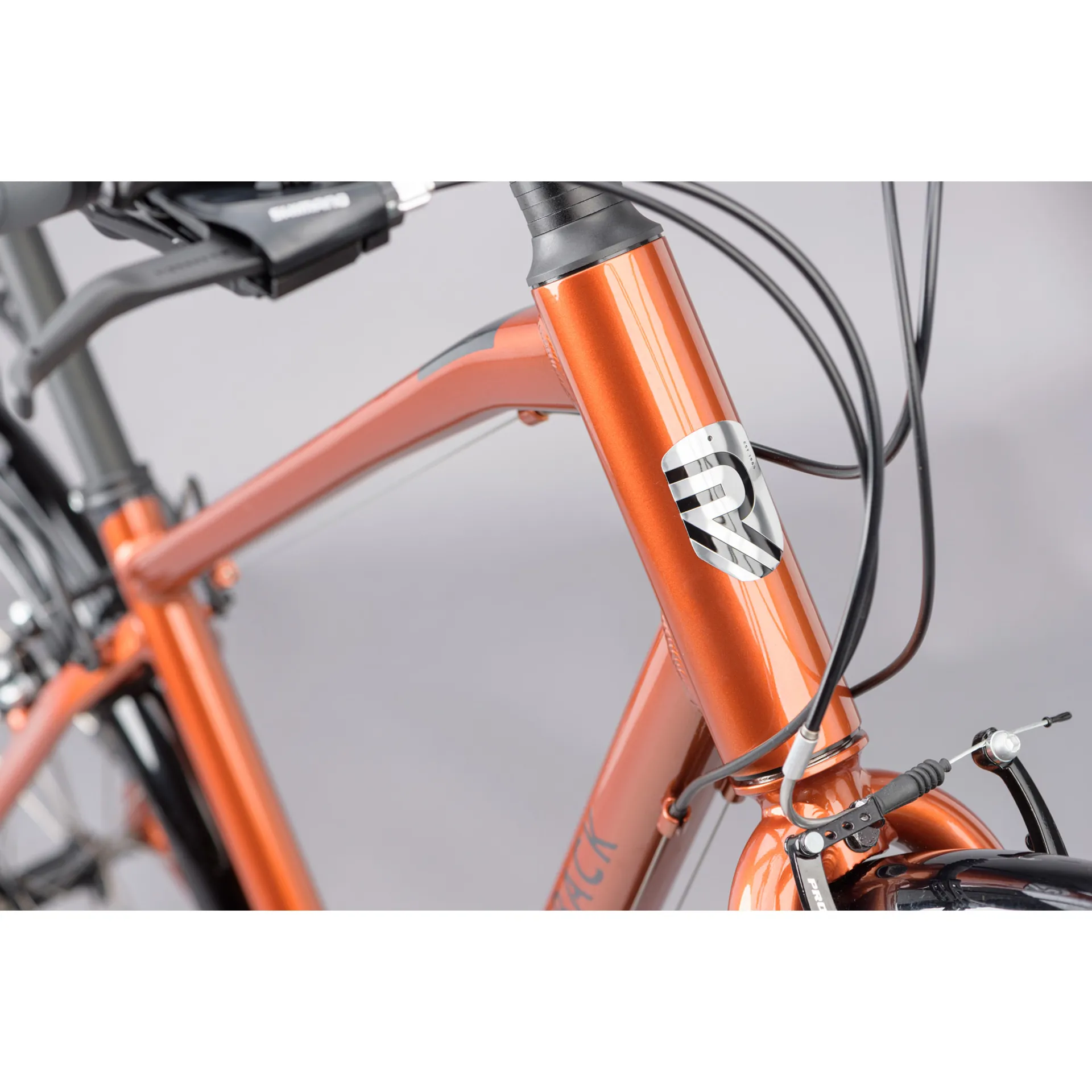 2021 Ridgeback Speed Hybrid Bike